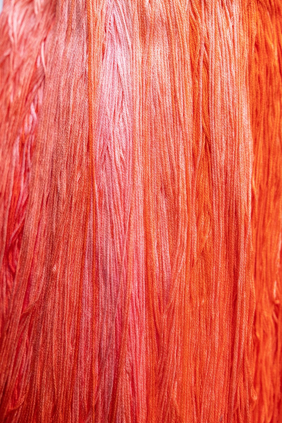 Sampler Threads for Needlework Projects - The Gentle Art